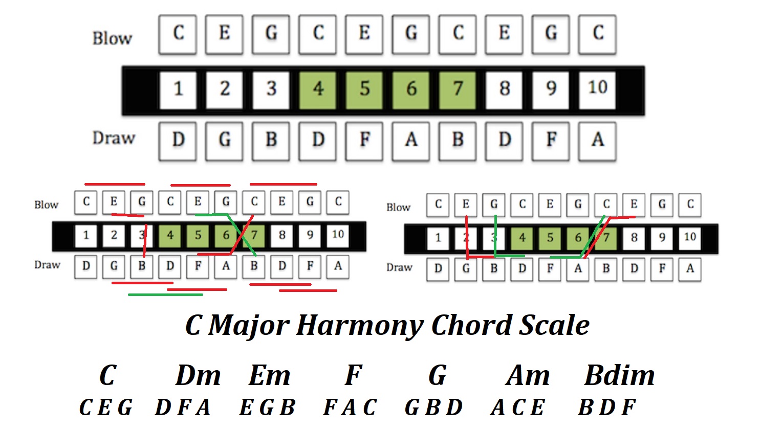 Harp 101 Harmonica must know Theory 101 for harpists!